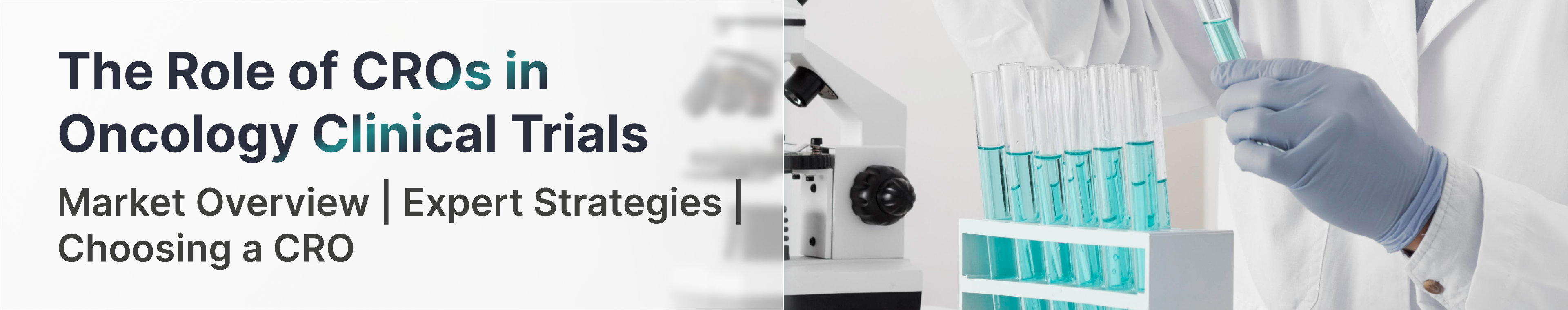 The Role of CROs in Oncology Clinical Trials: Market Overview | Expert ...